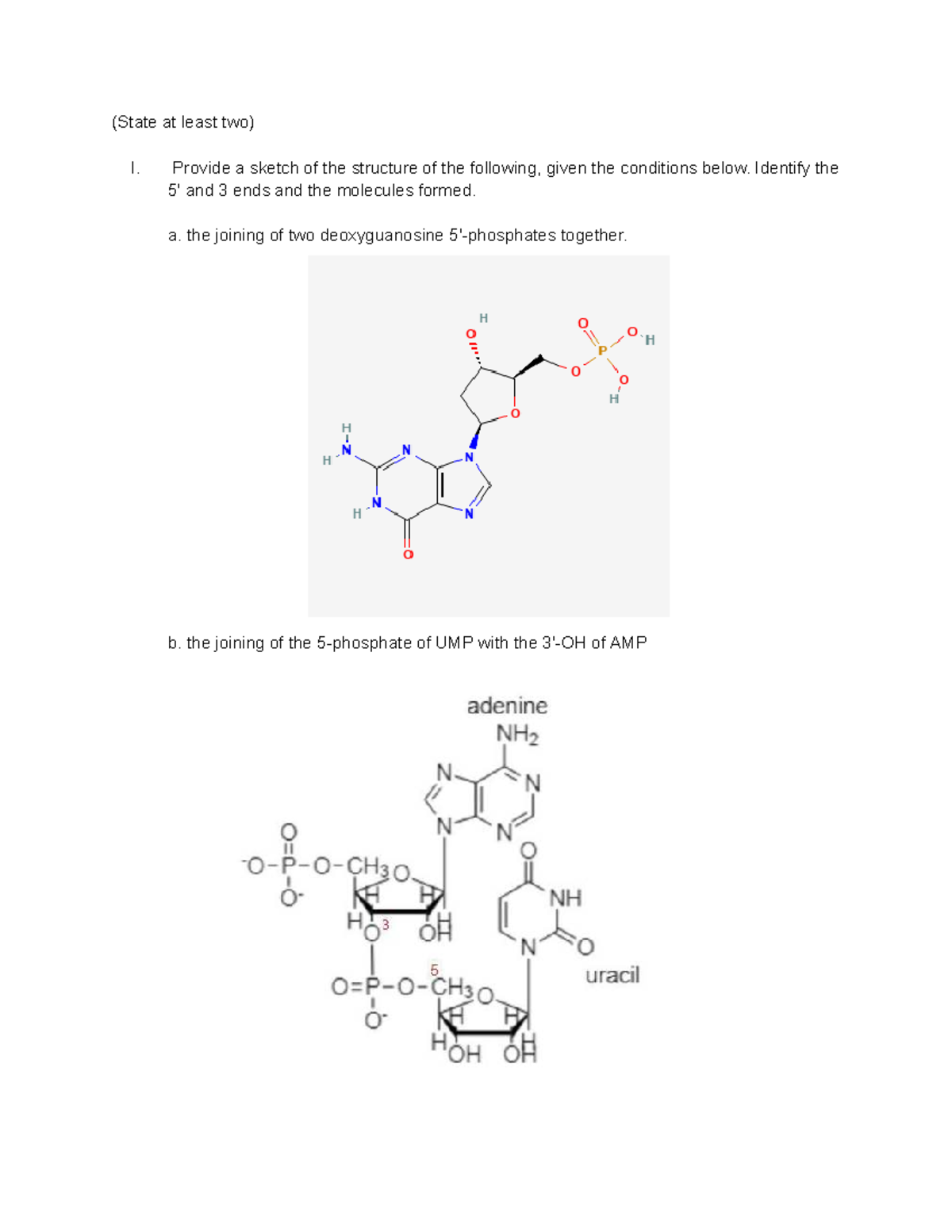 Biology (BIO) Structure and Function of Nucleotides and mRNA Codons ...