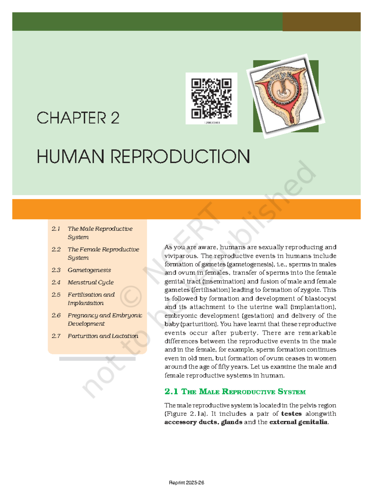 CHAPTER 2: HUMAN REPRODUCTION - MALE & FEMALE REPRODUCTIVE SYSTEMS ...