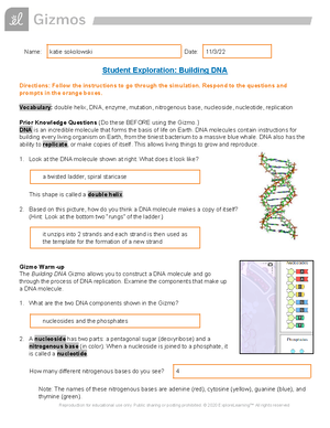 DNAProfiling Gizmo - Name: Mike Hawk Date: Student Exploration: DNA ...