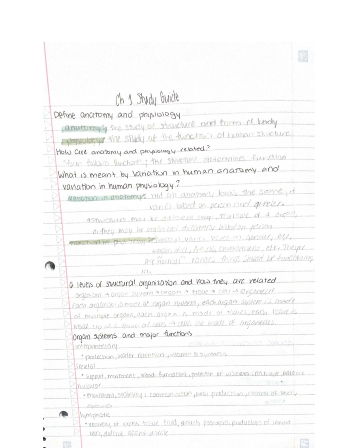 Ch 1 Study Guide: Anatomy & Physiology Overview - Studocu