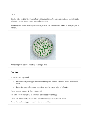 Genetics Lab 2 - practice - Lab 2: Genetic traits are inherited in ...