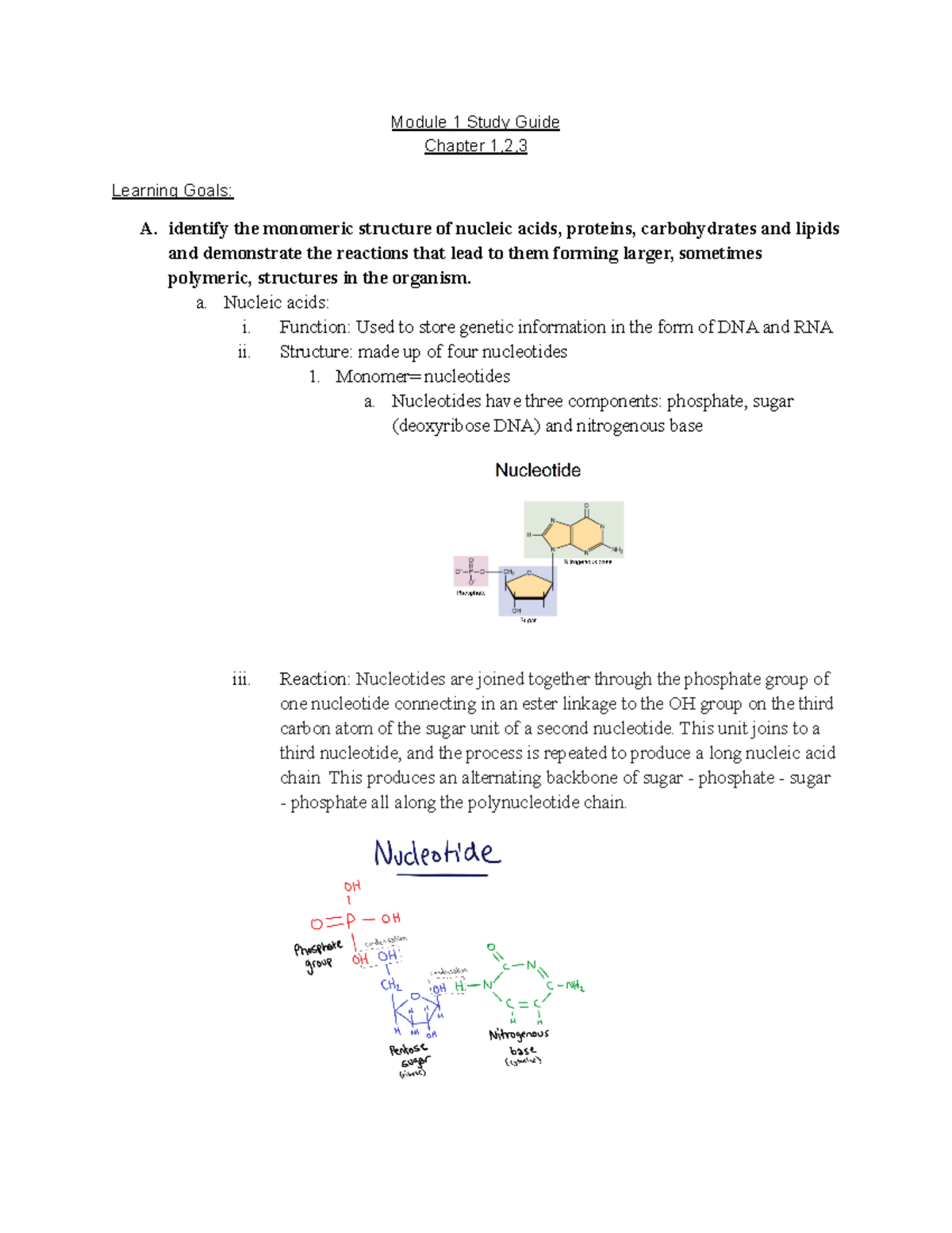 Mod 1 Study Guide - review - Module 1 Study Guide Chapter 1,2, Learning ...