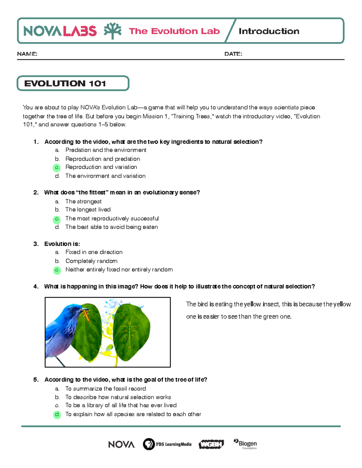NOVA Evolution Lab - The Evolution Lab Introduction EVOLUTION 101 NAME ...