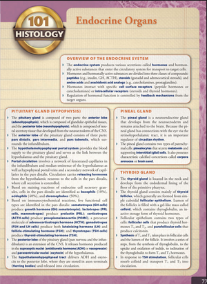 The Dead - poem - The Dead BY RUPERT BROOKE These hearts were woven of ...