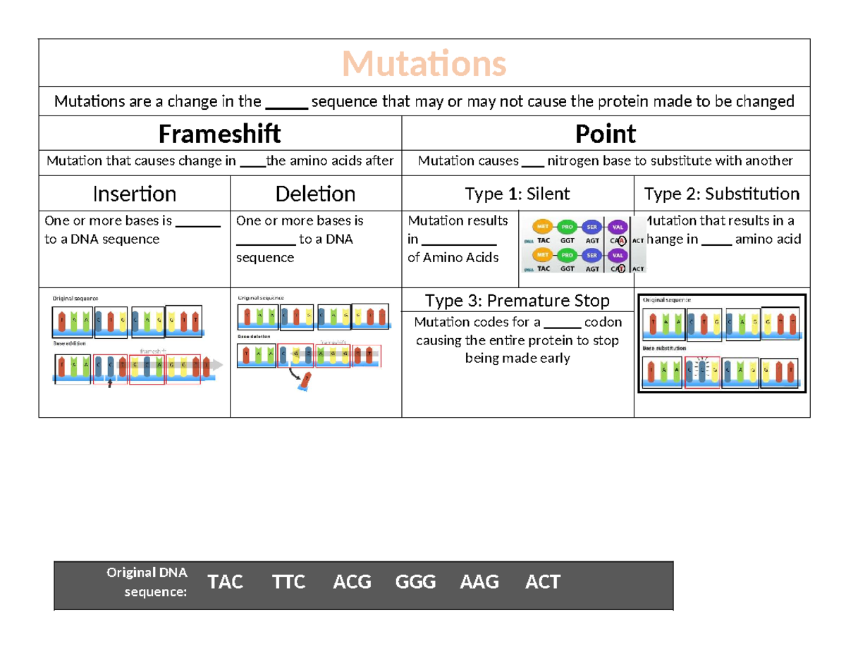 Mutations Notes: Types and Effects on Protein Synthesis - Studocu