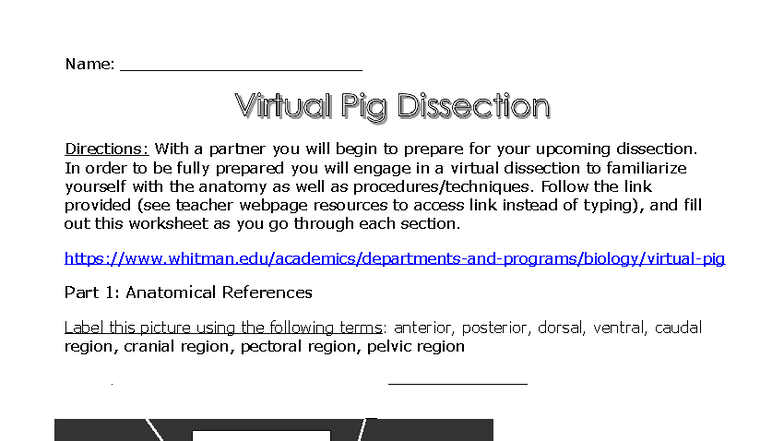 Virtual Pig Dissection Guide: Anatomy & Systems Overview - Studocu