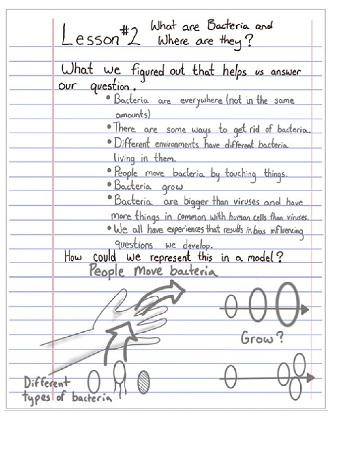 Understanding Antibiotic Resistance and Natural Selection in Bacteria ...
