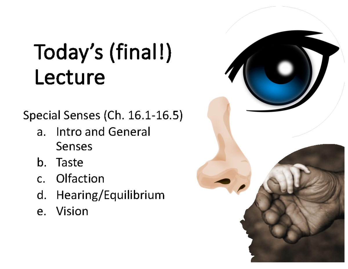 S12 slides - Sensory organs - Today’s (final!) Lecture ####### Special ...