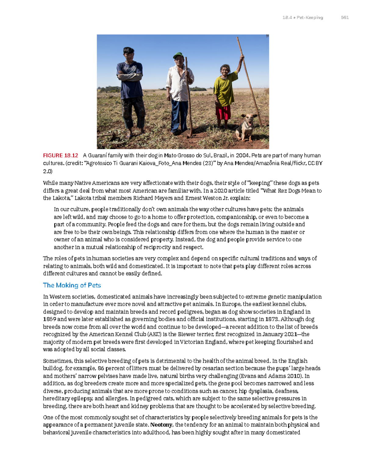 Chapter 18 Human-Animal Relationship Part 9 - FIGURE 18 A Guaraní ...