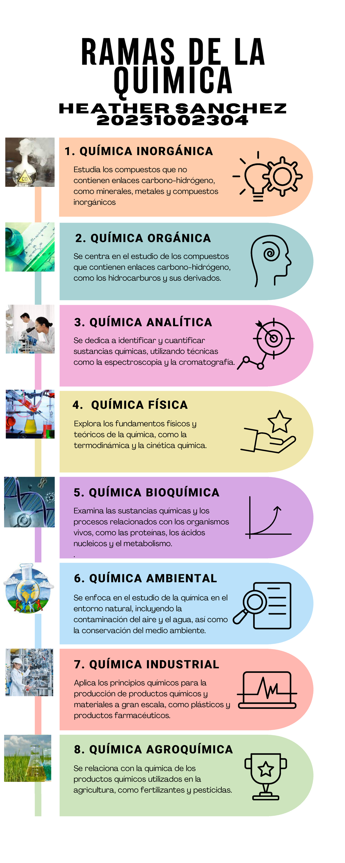 Ramas de la Química: Infografía Completa sobre Química (20231002304 ...