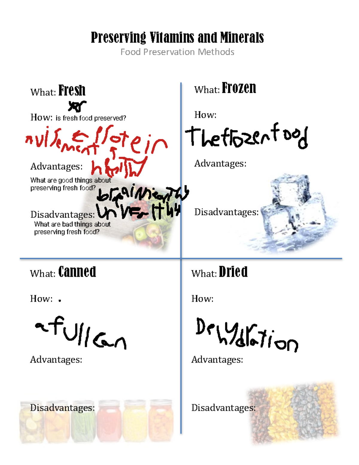 Preserving Vitamins & Minerals: Food Preservation Methods Guide - Studocu