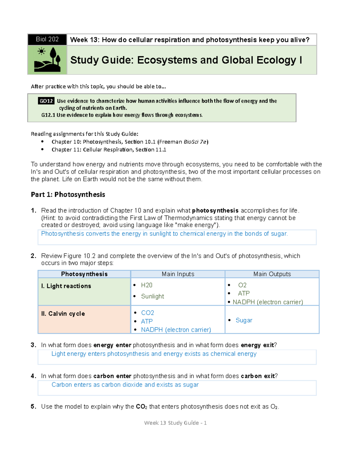 202 Week 13 SG Ecosystem Ecology - Biol 202 Week 13: How do cellular ...