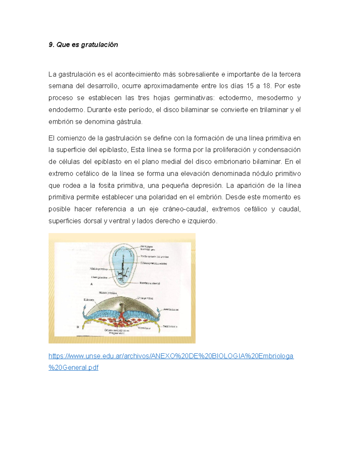 Gastrulación: Procesos y Formación de Capas Germinativas en Embriología ...
