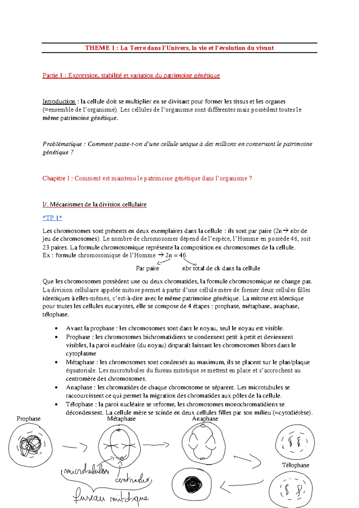 SVT - Chapitre sur la Mitose et la Division Cellulaire en Collège - Studocu