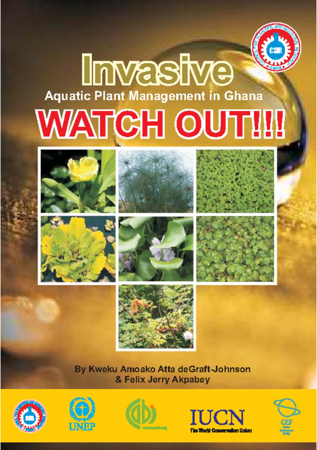 IC AND IND CH GHANA C WATCH RESEARCH: Invasive Aquatic Plants ...