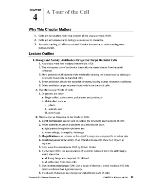 Biology 101: Chapter 5 - The Working Cell and Energy Processes - The ...