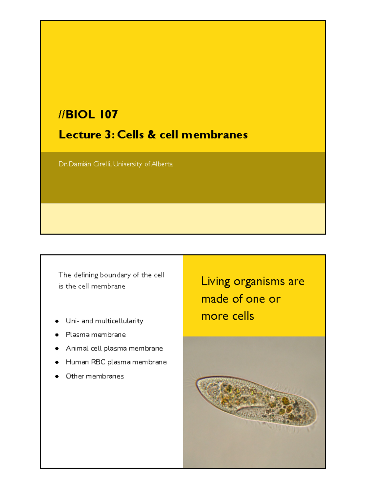BIOL 107 Lecture 3: Understanding Cells & Cell Membranes - //BIOL 107 Lecture 3: Cells & cell ...