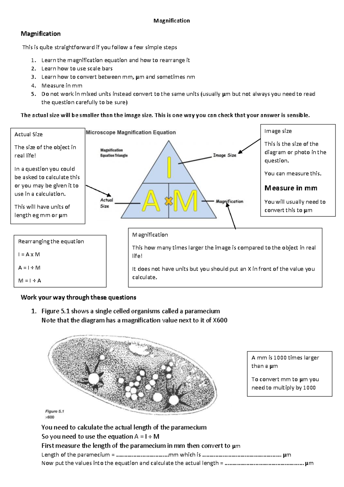 Biology 101: Magnification Calculation Worksheet - Studocu