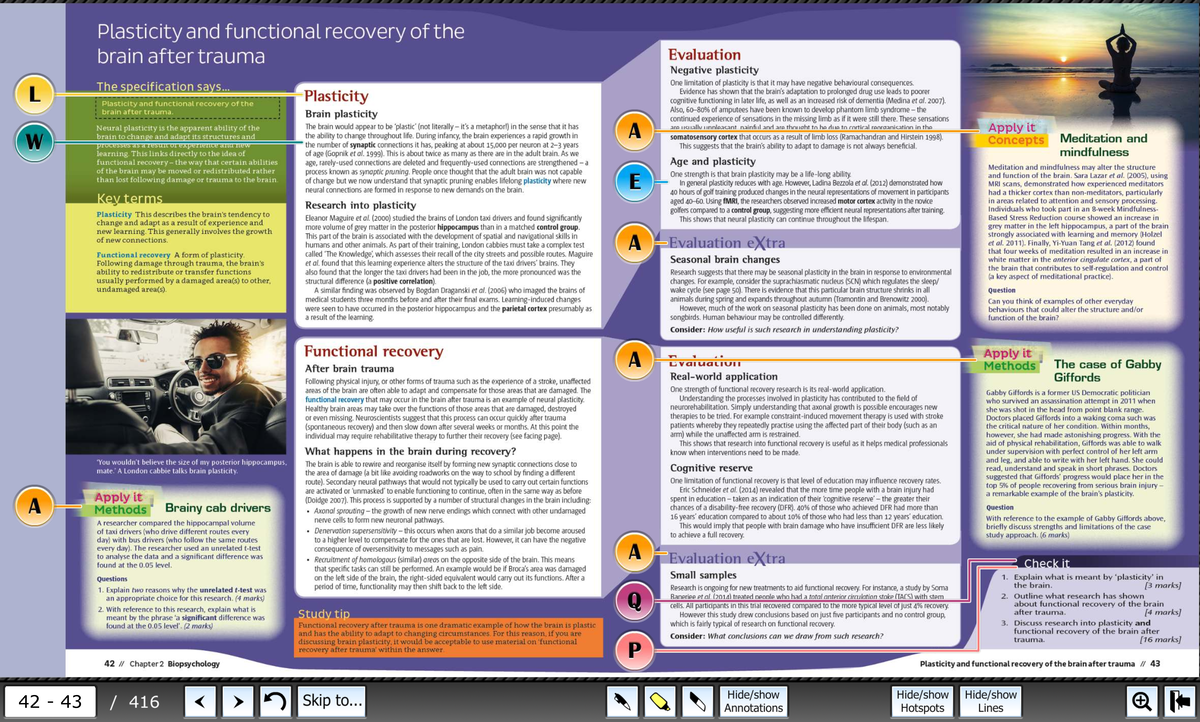 PSY 101: Plasticity and Functional Recovery of the Brain After Trauma ...