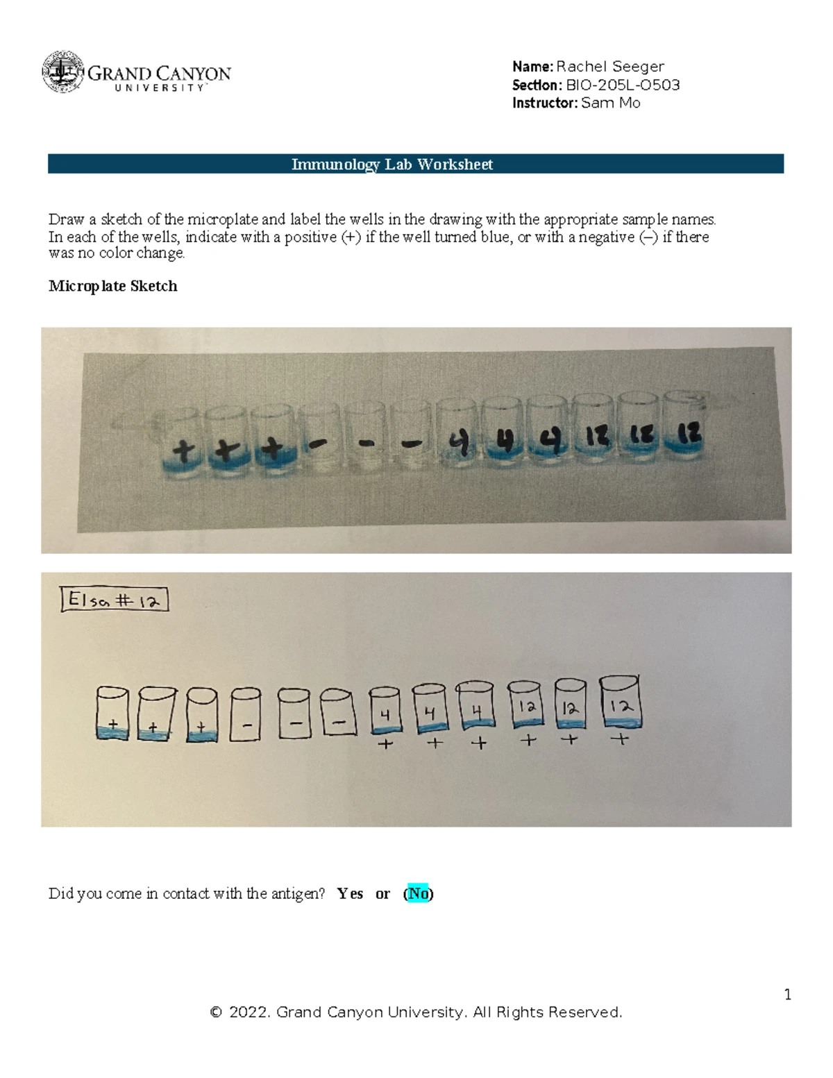 BIO-205L Lab Report: Identification of an Unknown Bacterium - Studocu