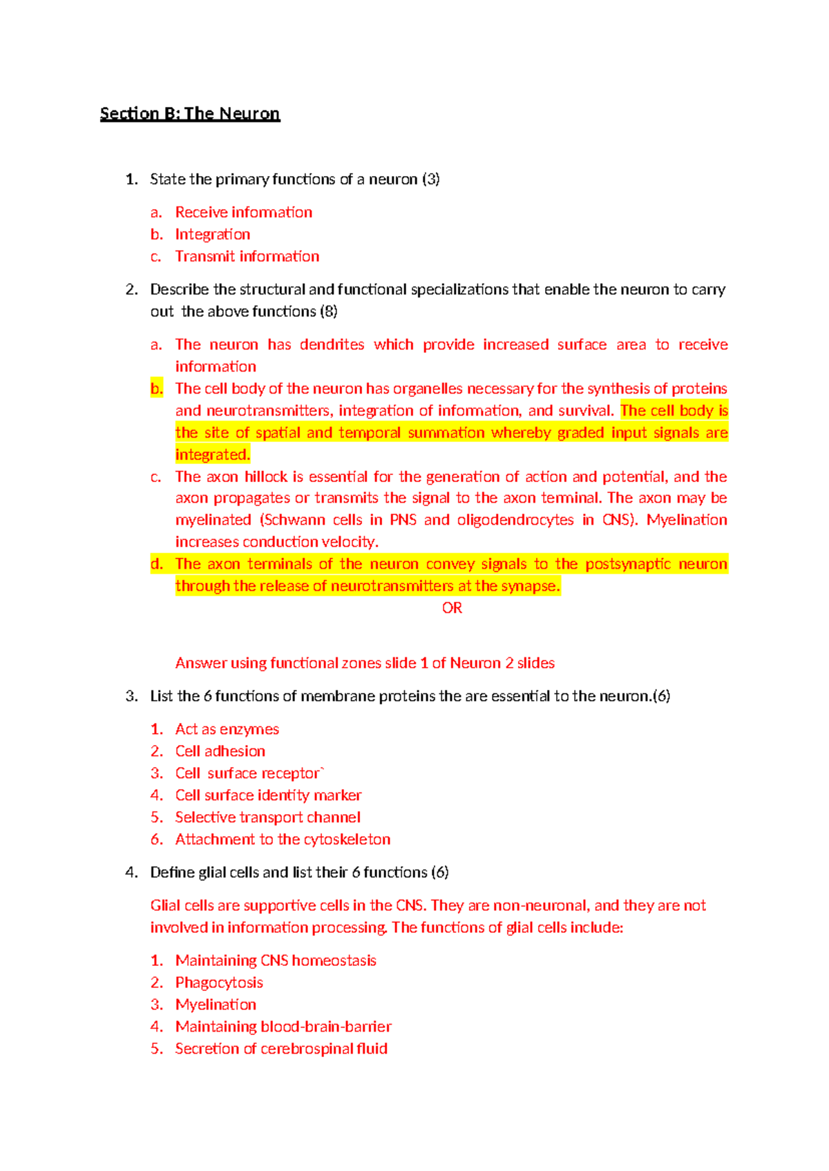 Section B: Neuron Functions and Action Potential (BIO 101) - Studocu