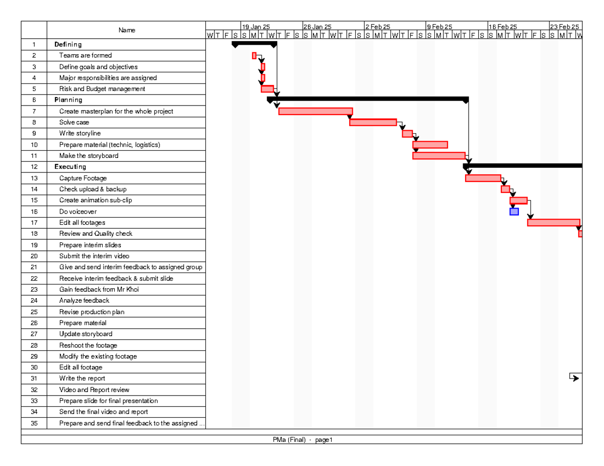 PMa (Final) Project Timeline and Execution Plan - Studocu