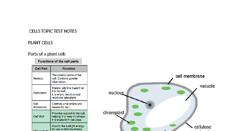 Science Test 2 Notes: Plant & Animal Cells, Cell Division, Energy - Studocu