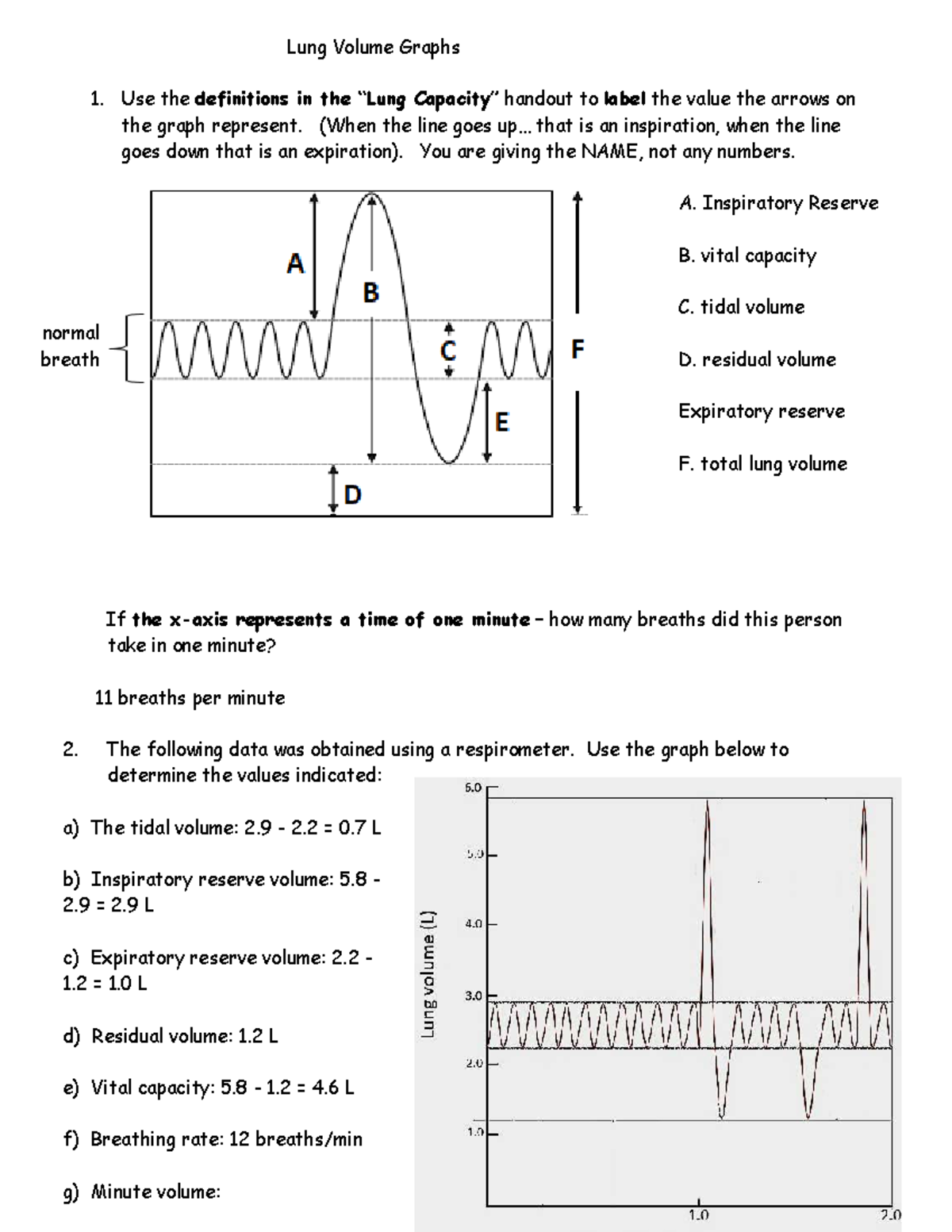 Lung Volume Graphs: Definitions and Breathing Rates Analysis - Studocu