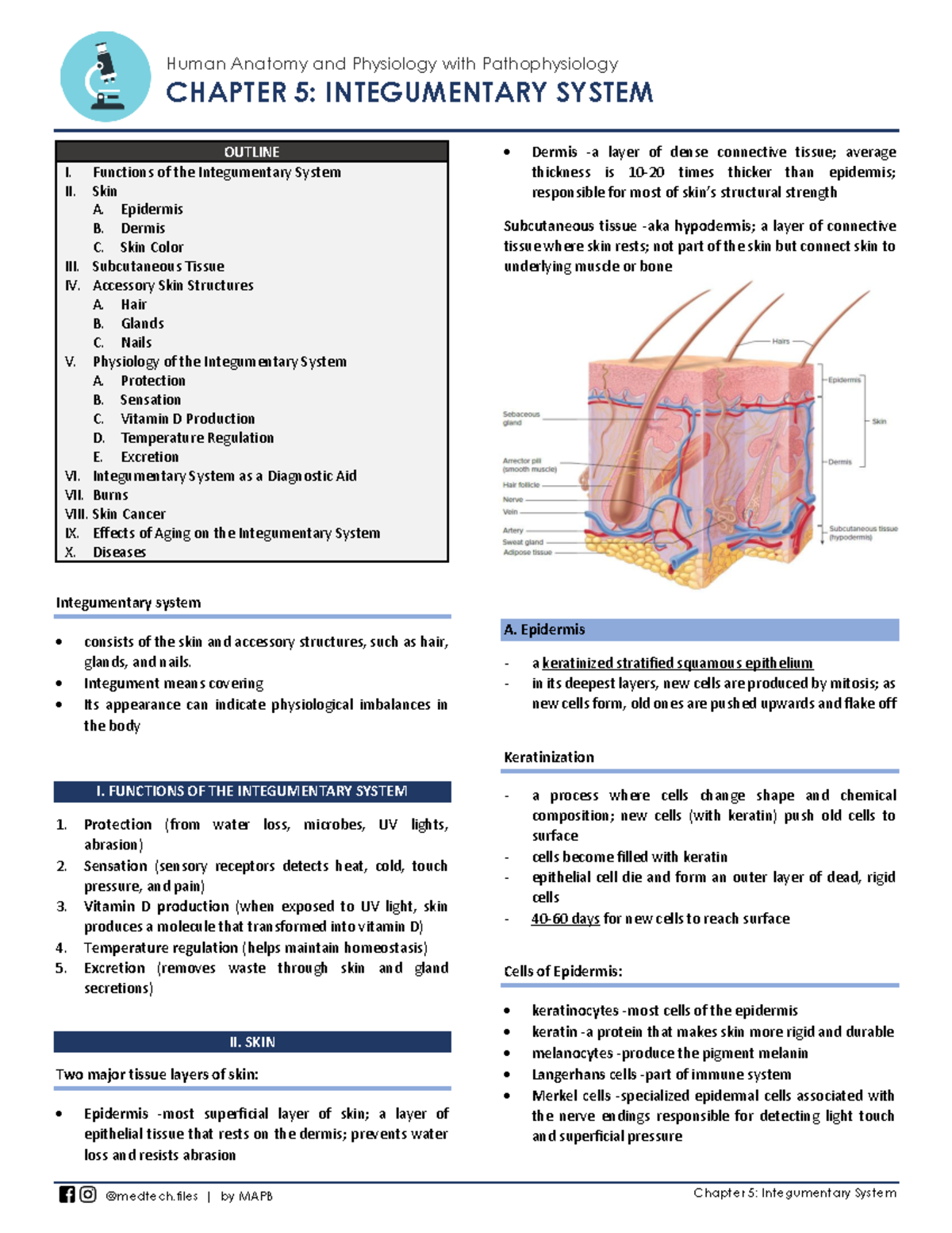 5 - reviewer - Human Anatomy and Physiology with Pathophysiology ...