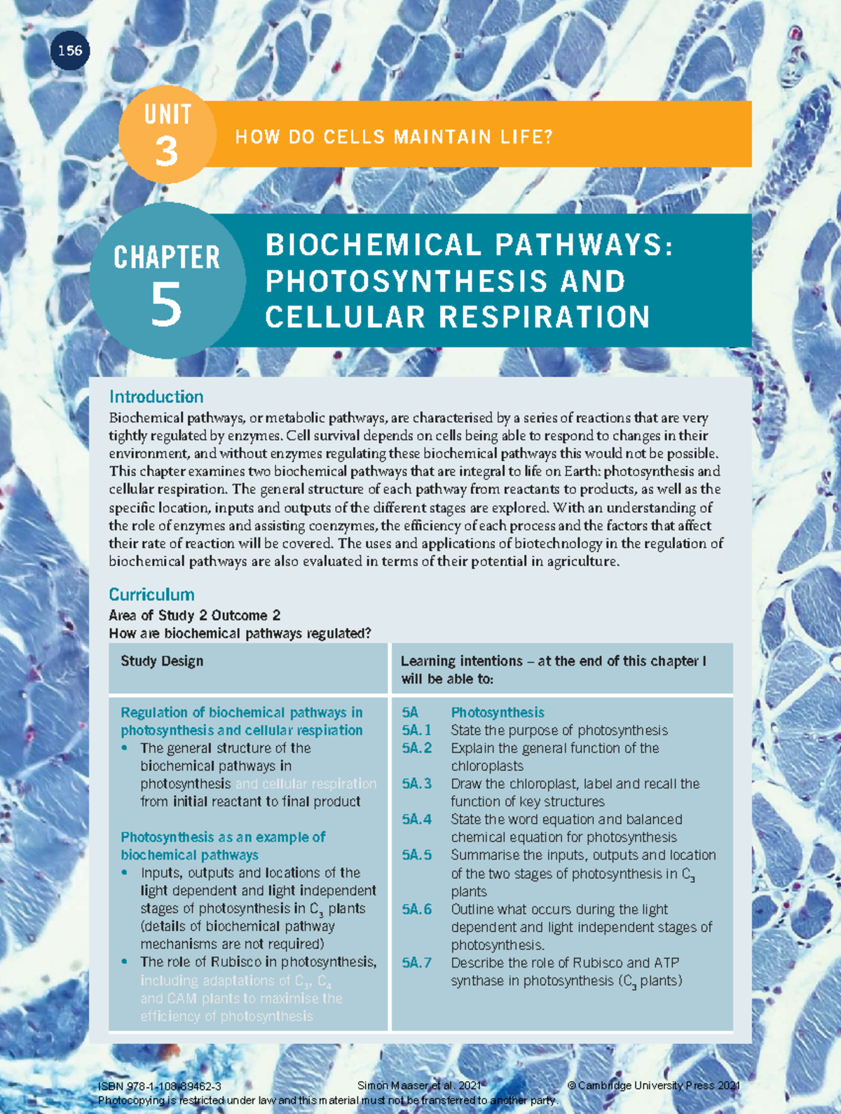 Final Exam Study Guide for CS101: Key Concepts and Review - HOW DO CELLS MAINTAIN LIFE ...