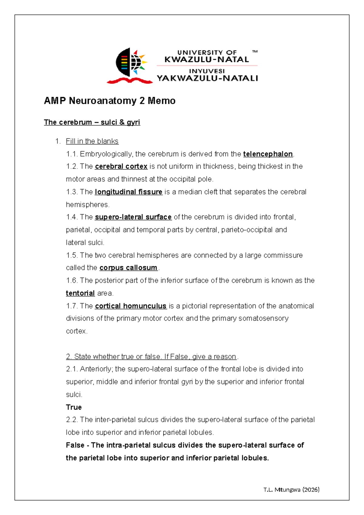 AMP Neuroanatomy 2 Memo: Cerebrum & Ventricular System Insights - Studocu