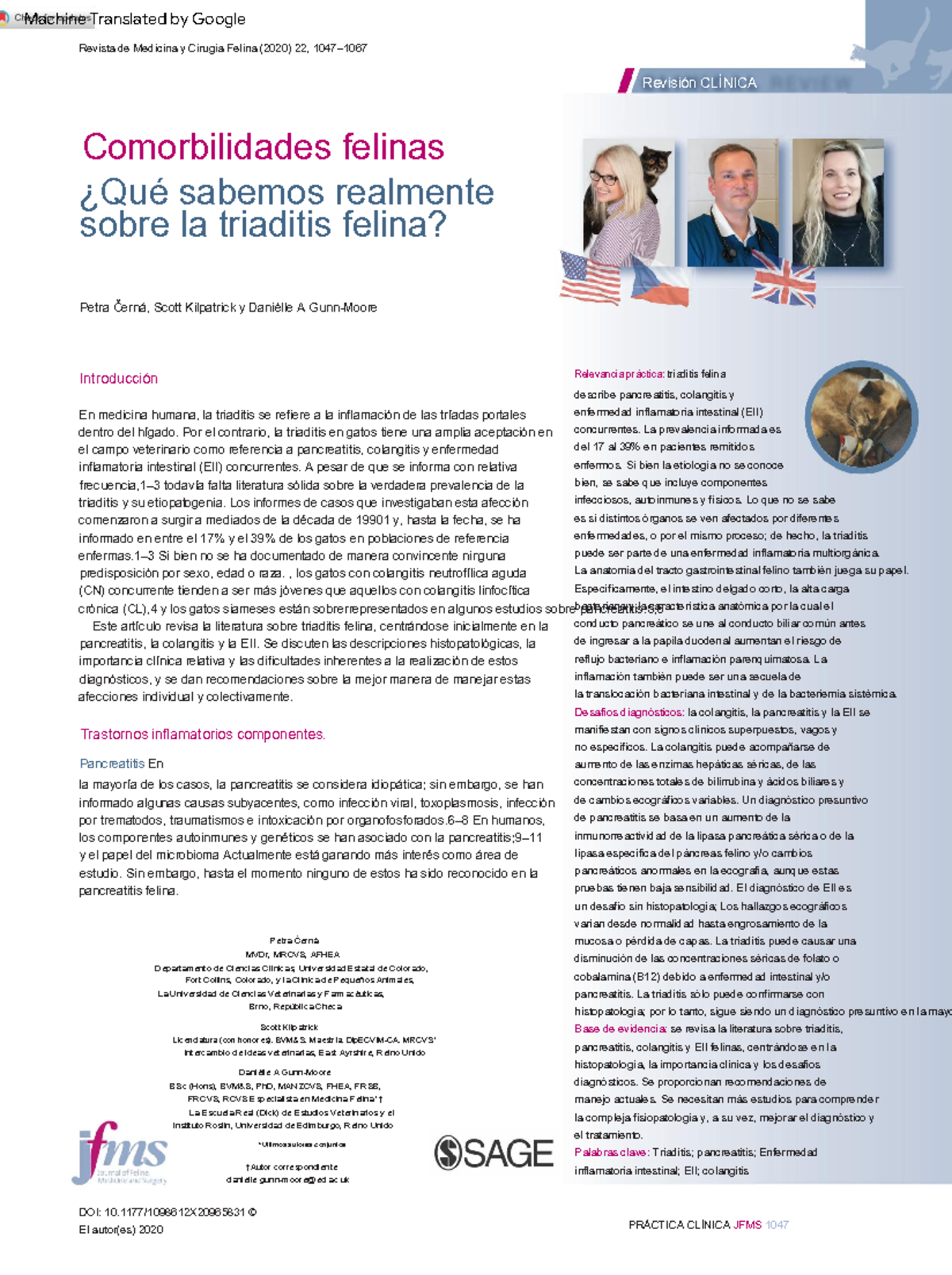 Revisión sobre Triaditis Felina: Comorbilidades y Diagnóstico Clínico ...