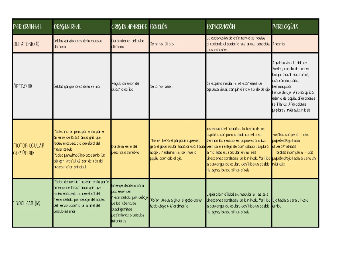 Peritoneo y cavidad peritoneal Anatomía y función Kenhub - Peritoneo y ...