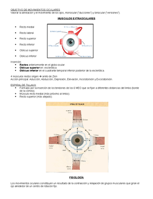 Anatomía OJO - ....... - Músculos Recto superior e Inferior Oblicuo ...