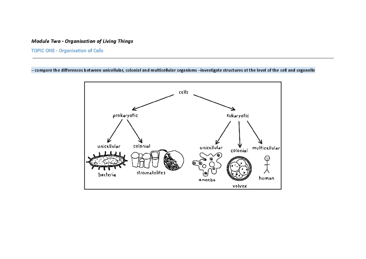Mod 2: Organisation of Living Things - Cells & Organ Systems Overview ...