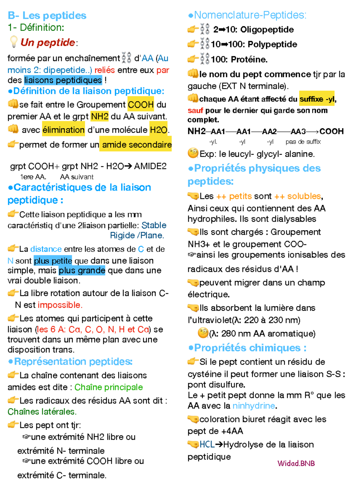 2-Les peptides - les aa - Widad B- Les peptides 1- Définition: 💡 Un ...