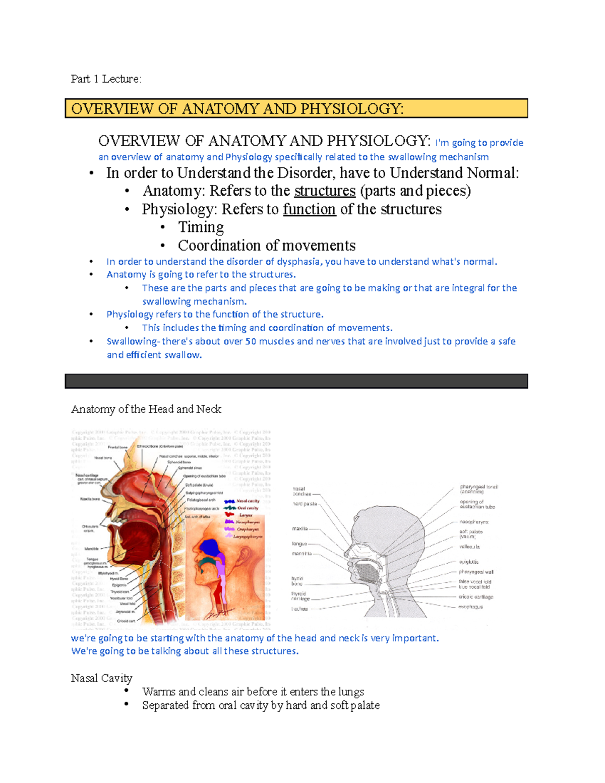 Anatomy Physiology Dysphagia And Cleft Palate Swallowing