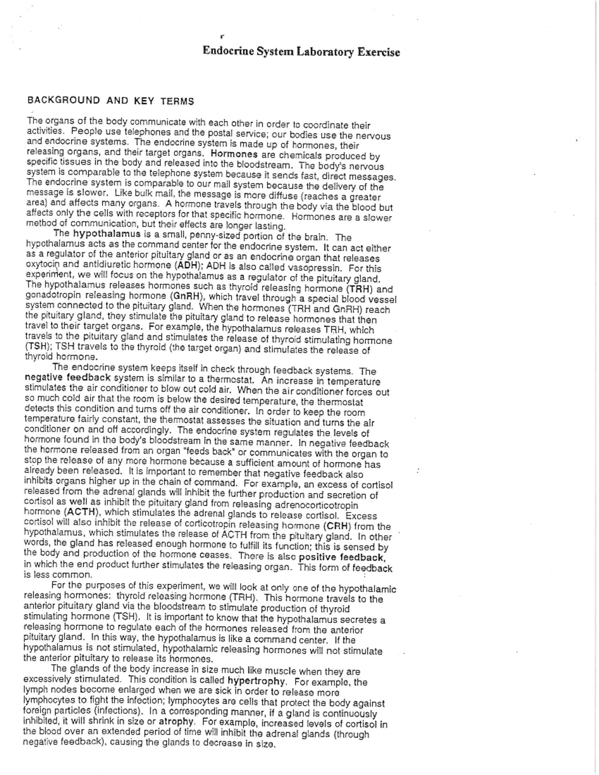 Endocrine System Lab Exercise: Key Concepts & Hormonal Feedback ...