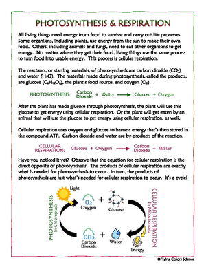Dna vs rna and protein synthesis updated recap by amoeba sisters ...