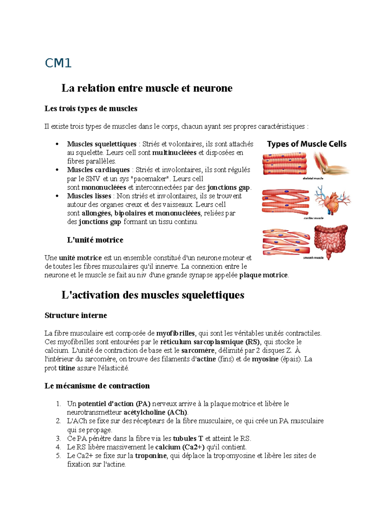 CM1 Fiches de Révision sur la Relation Muscle-Neurone et Types de ...