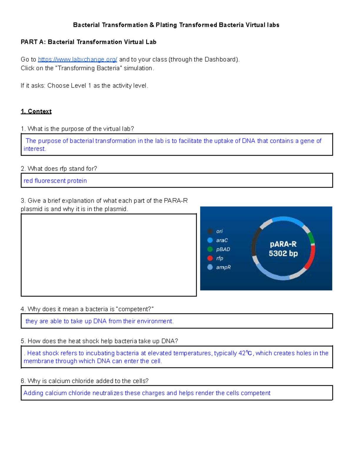Bacterial Transformation Virtual Lab Guide (BIO 101) - Studocu