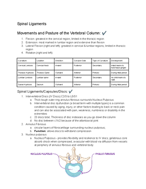 Comprehensive Study Guide on Human Anatomy (Final Exam) - Comprehensive ...