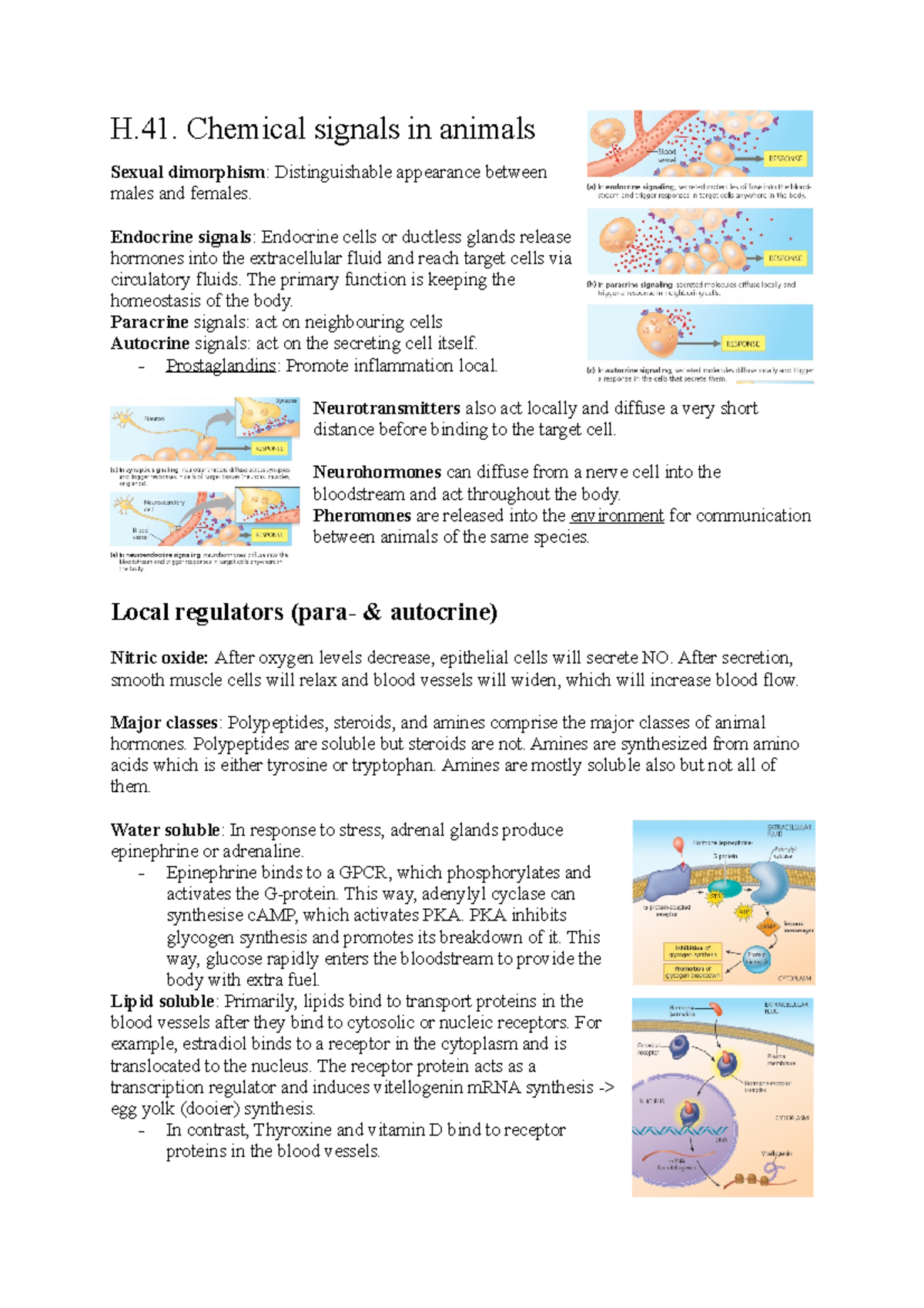Summary of Chemical Signals and Reproductive Processes in Animals ...