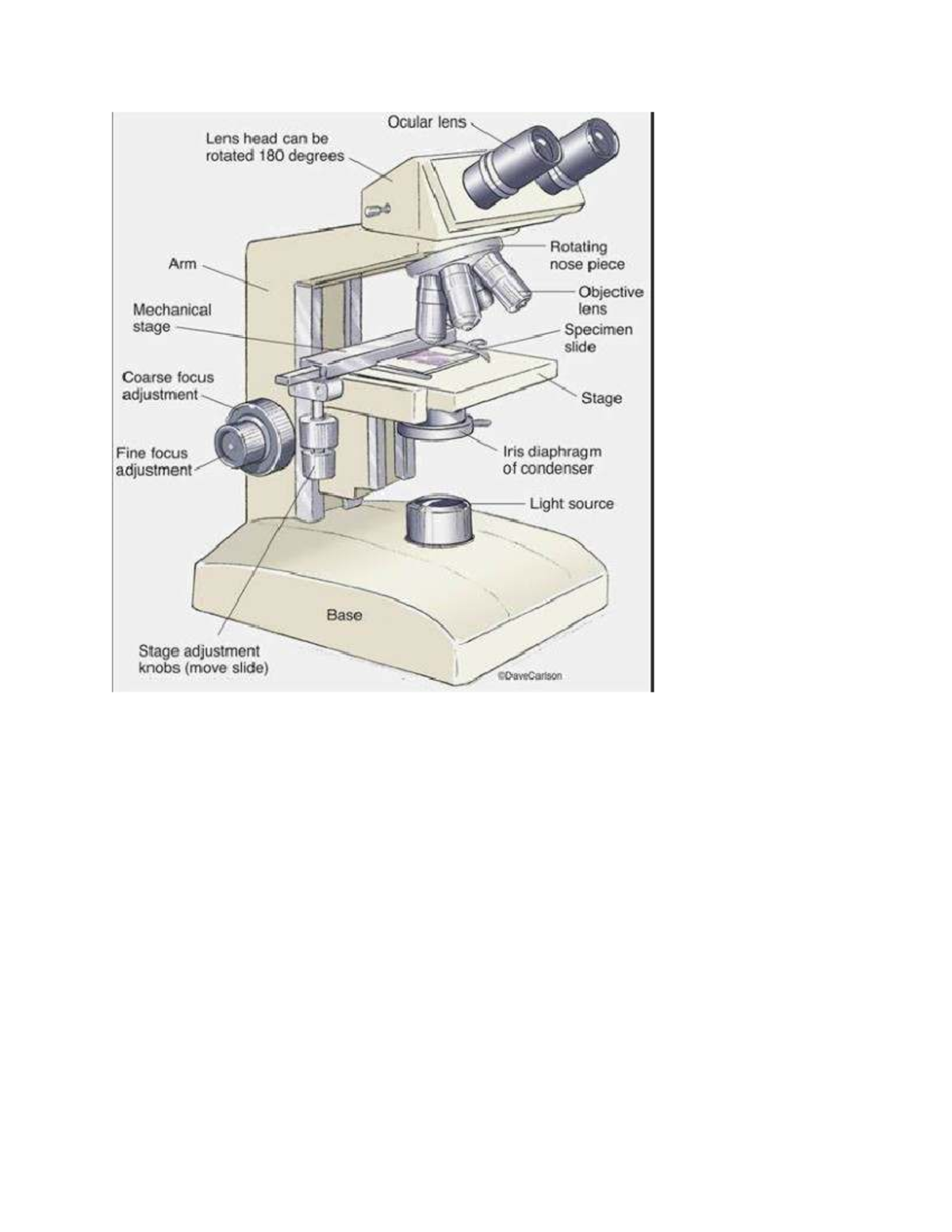 Microscpe pic - PArts of Microscope - Nursing - Ocular lens Lens head ...