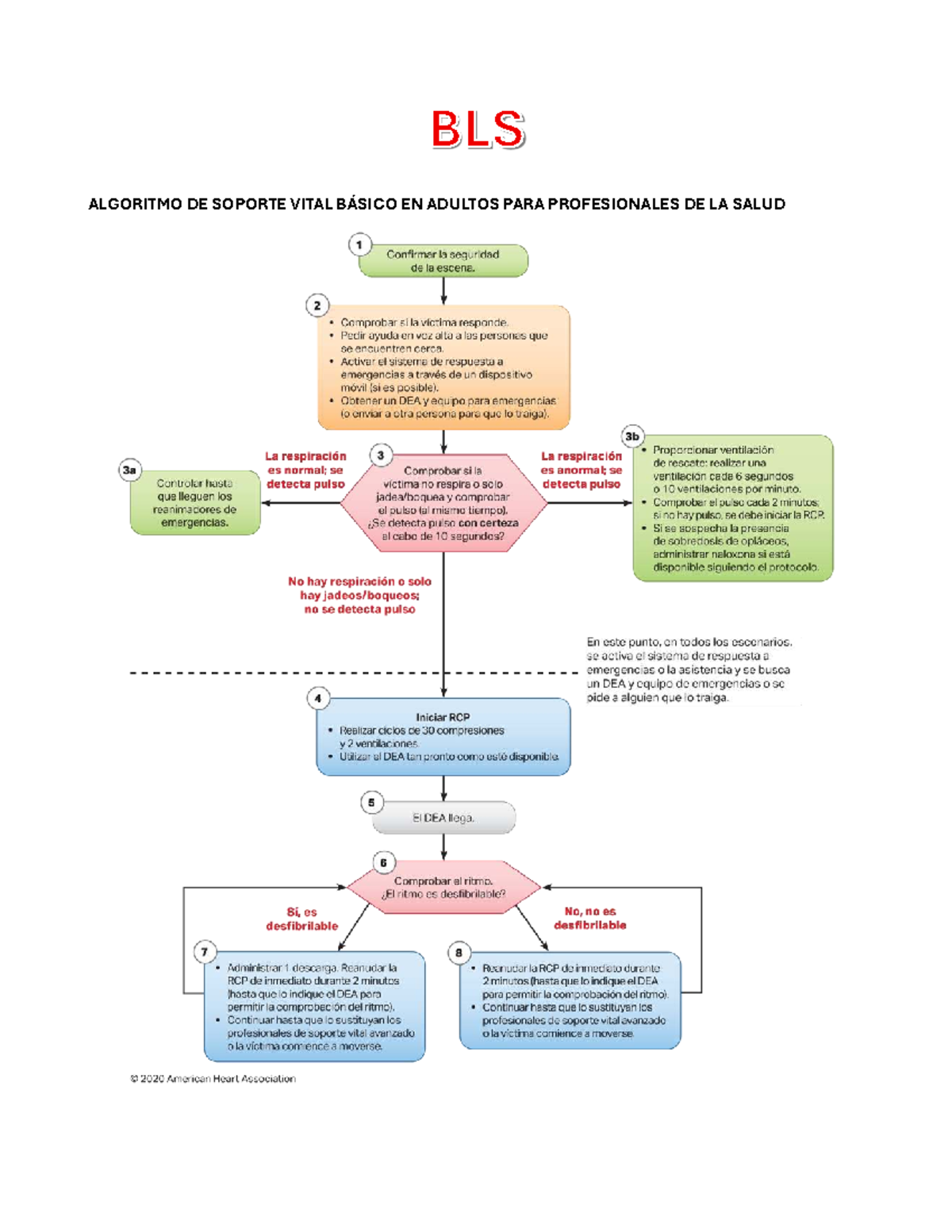 Esquemas y Ritmos BLS - ACLS: Algoritmos y Protocolos Esenciales - Studocu