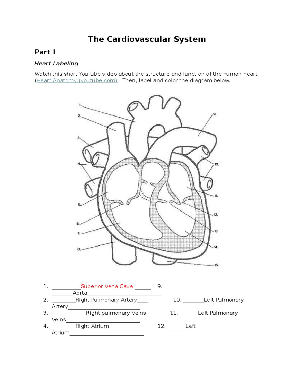 BIO102 Cardiovascular Lab: Heart Anatomy & ECG Analysis - Studocu