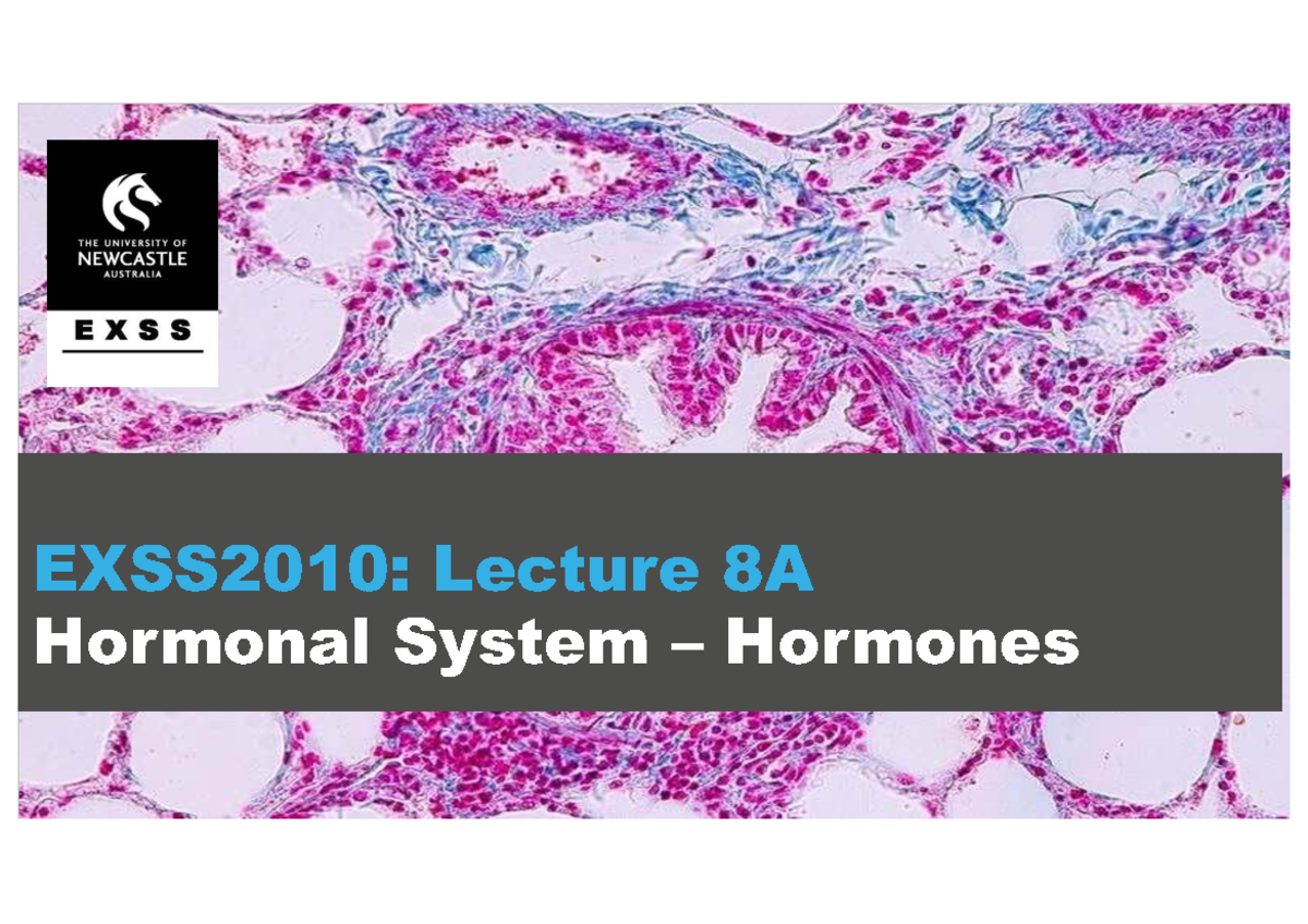 EXSS2010: Lecture 8A - Hormonal System Overview - Studocu