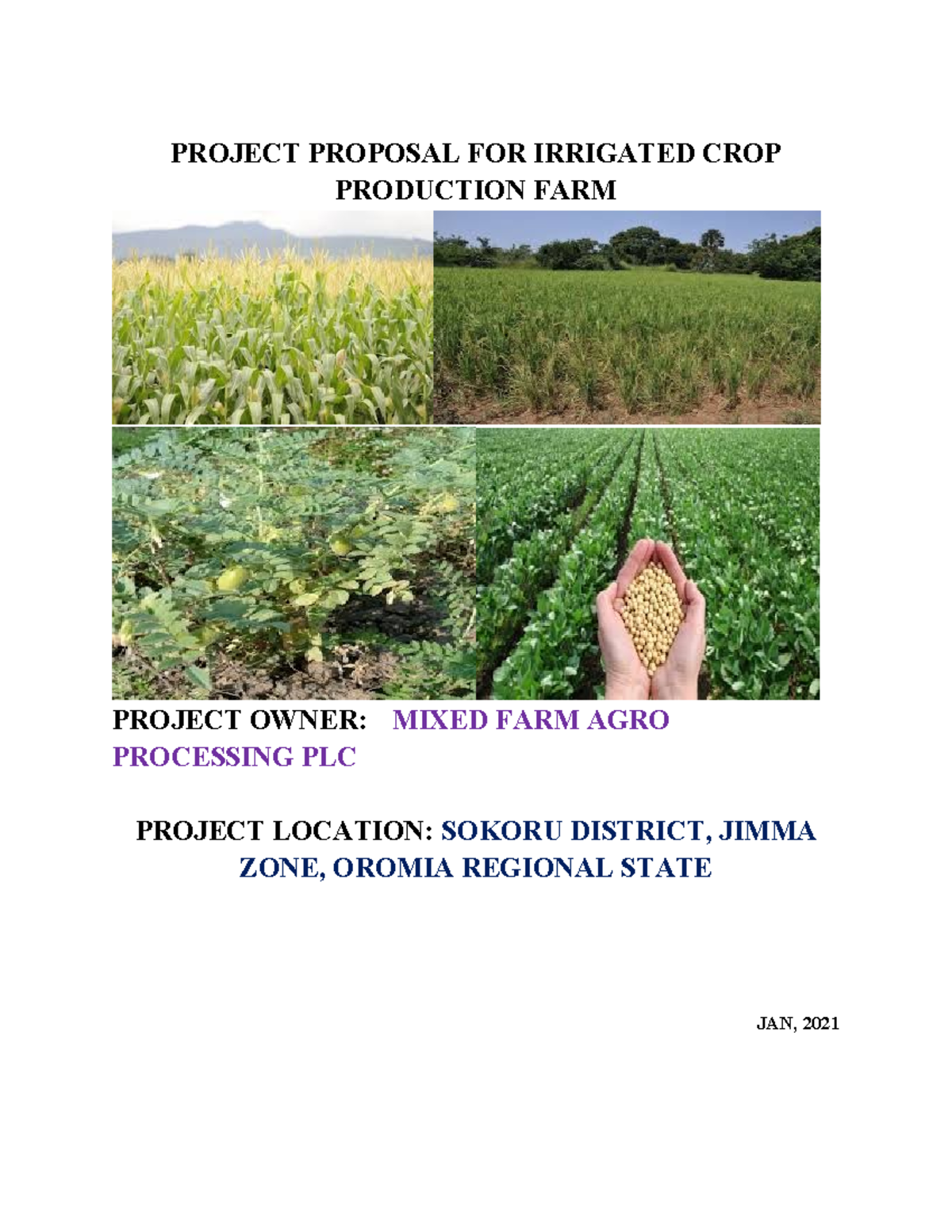 **Mixed Farm Agro's Irrigated Crop Production Project Proposal (2021 ...