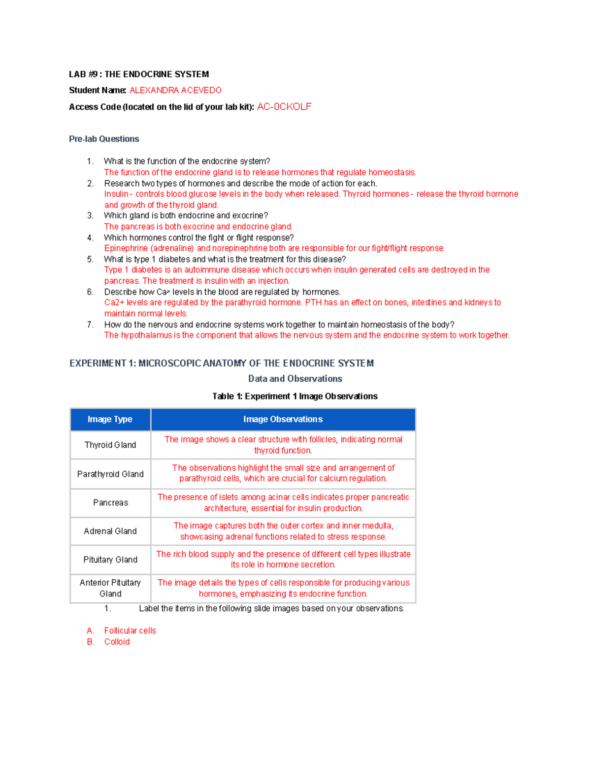 LAB #9: Exploring the Endocrine System Functions and Responses - Studocu