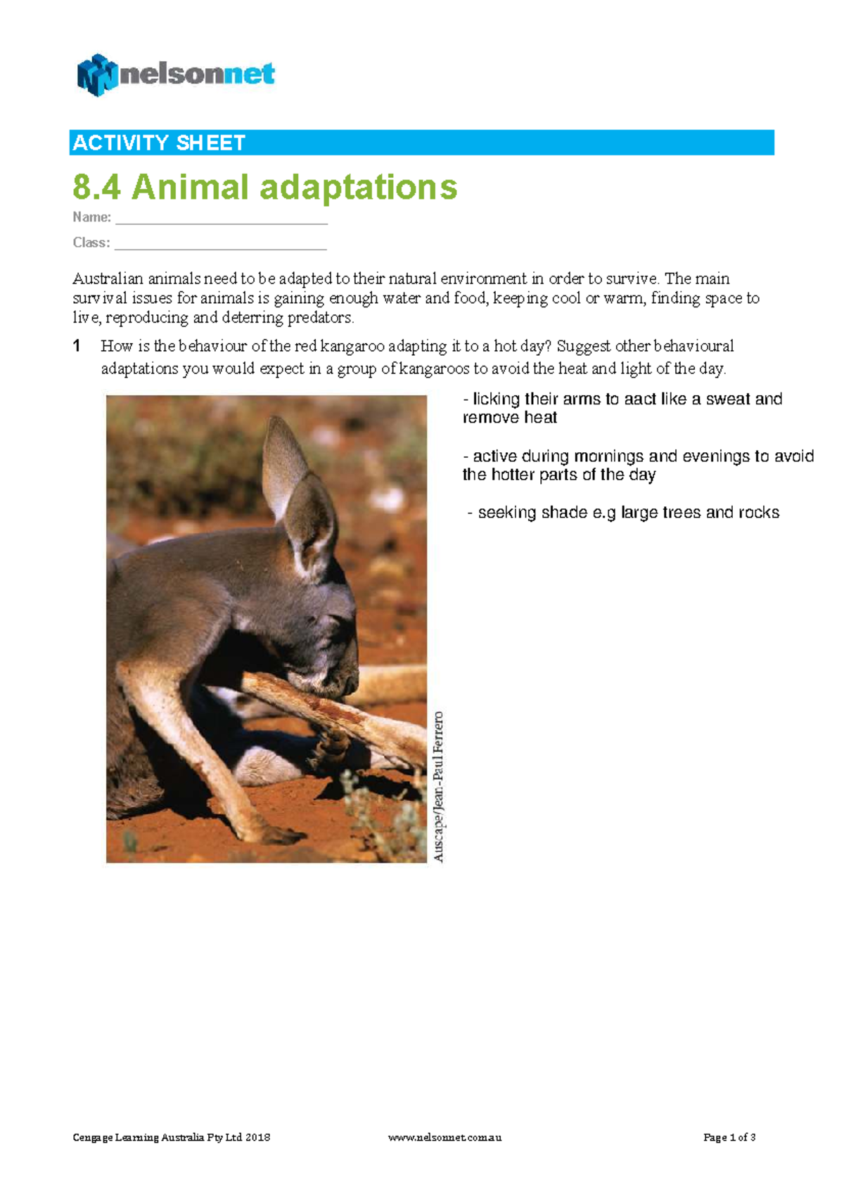 ACTIVITY SHEET 8.4: Animal Adaptations in Australian Wildlife - Studocu